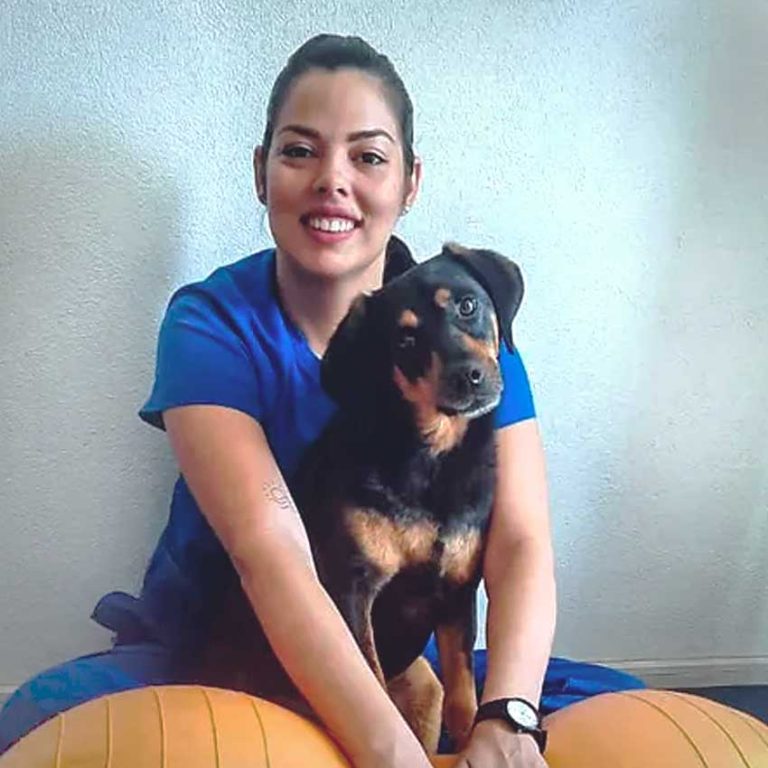 Equipo - Clínica Nervet Providencia